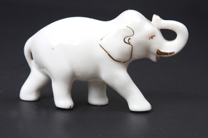 O que significa elefante branco? - Espaço Vital