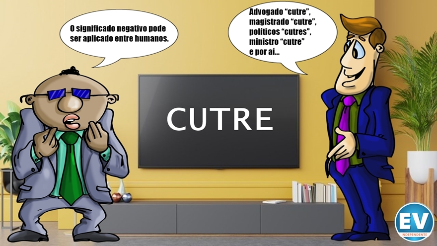 Significado e uso de “cutre” - Espaço Vital